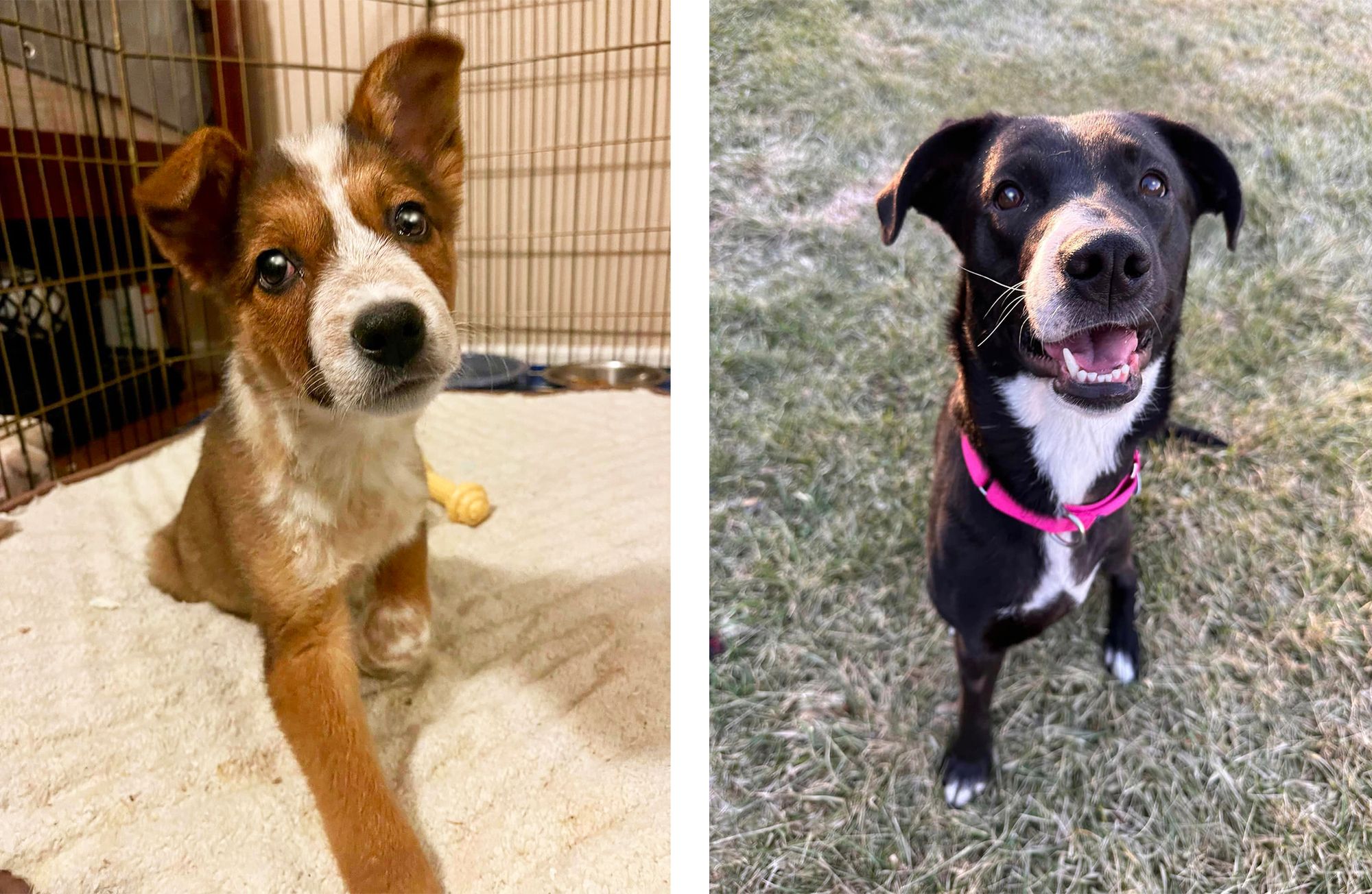 Special needs? Special indeed!